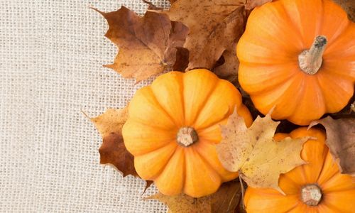 Events - Highlands Ranch Community Association (HRCA)
