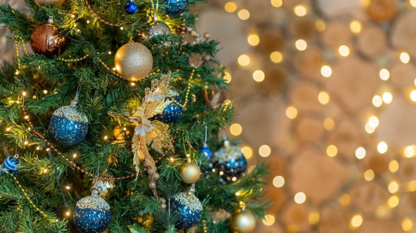 Events - Highlands Ranch Community Association (HRCA)