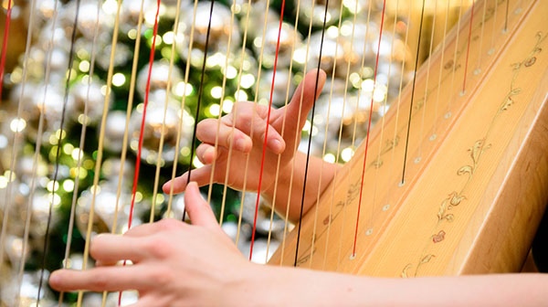 Events - Highlands Ranch Community Association (HRCA)