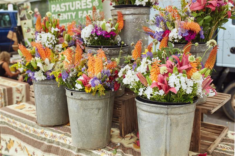 Highlands Ranch Farmers' Market